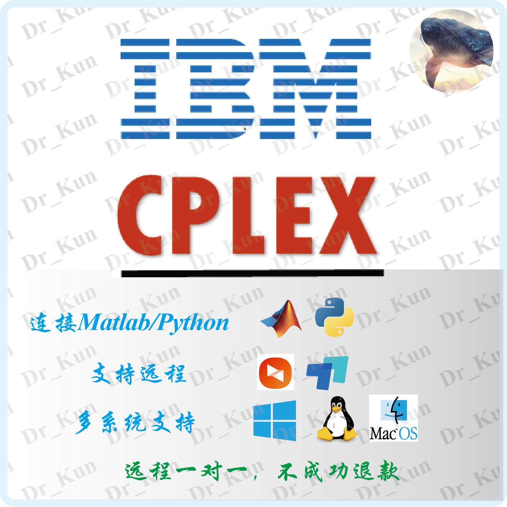 IBM ILOG CPLEX学术版安装难在哪？连接MATLAB和Python有哪些关键步骤与常见问题？_游戏大全_淘宝游戏网